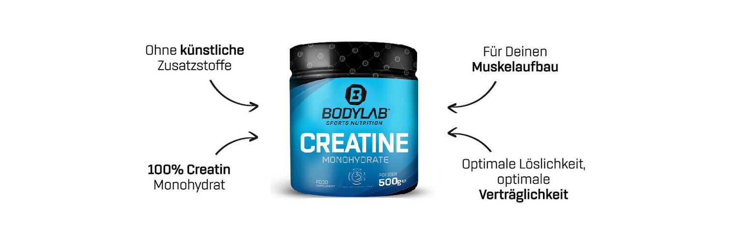 Creatine Powder von Bodylab24 – Geheimwaffe für den Muskelaufbau!
